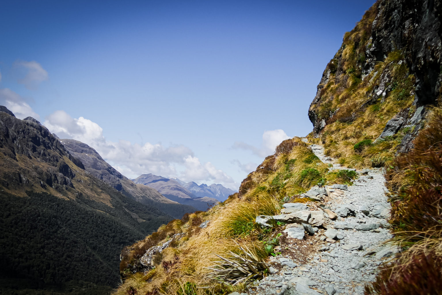 Beauty on the ridges of the Routeburn Track | Peregrinus Mundi