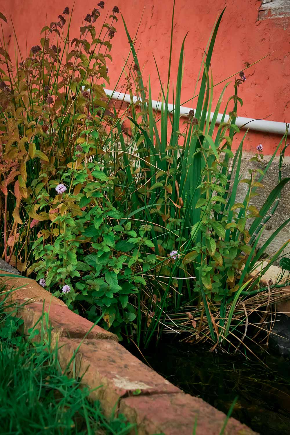 An oasis in Normandy